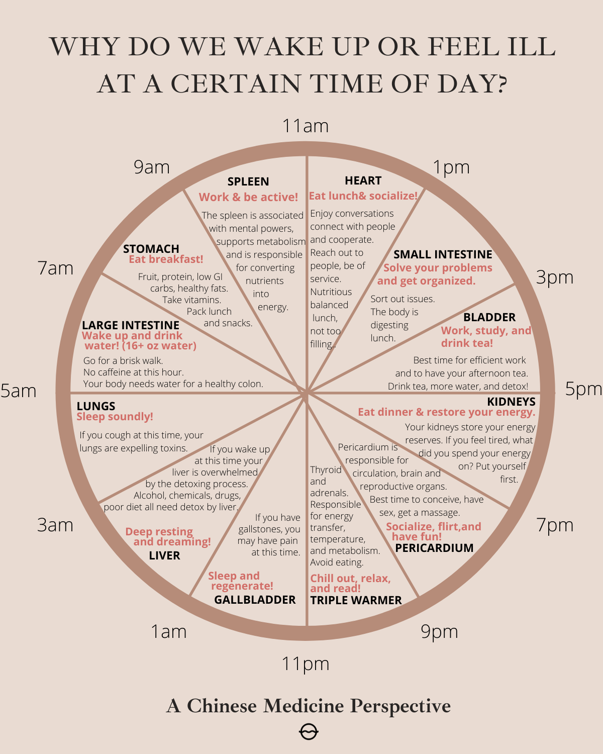 TCM Body Clock: Why Do We Wake Up or Feel Ill at a Certain Time of Day ...