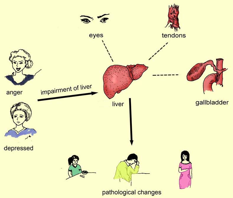 Headaches, PMS & Hormone Imbalance: Why Chinese Medicine's Liver Qi ...