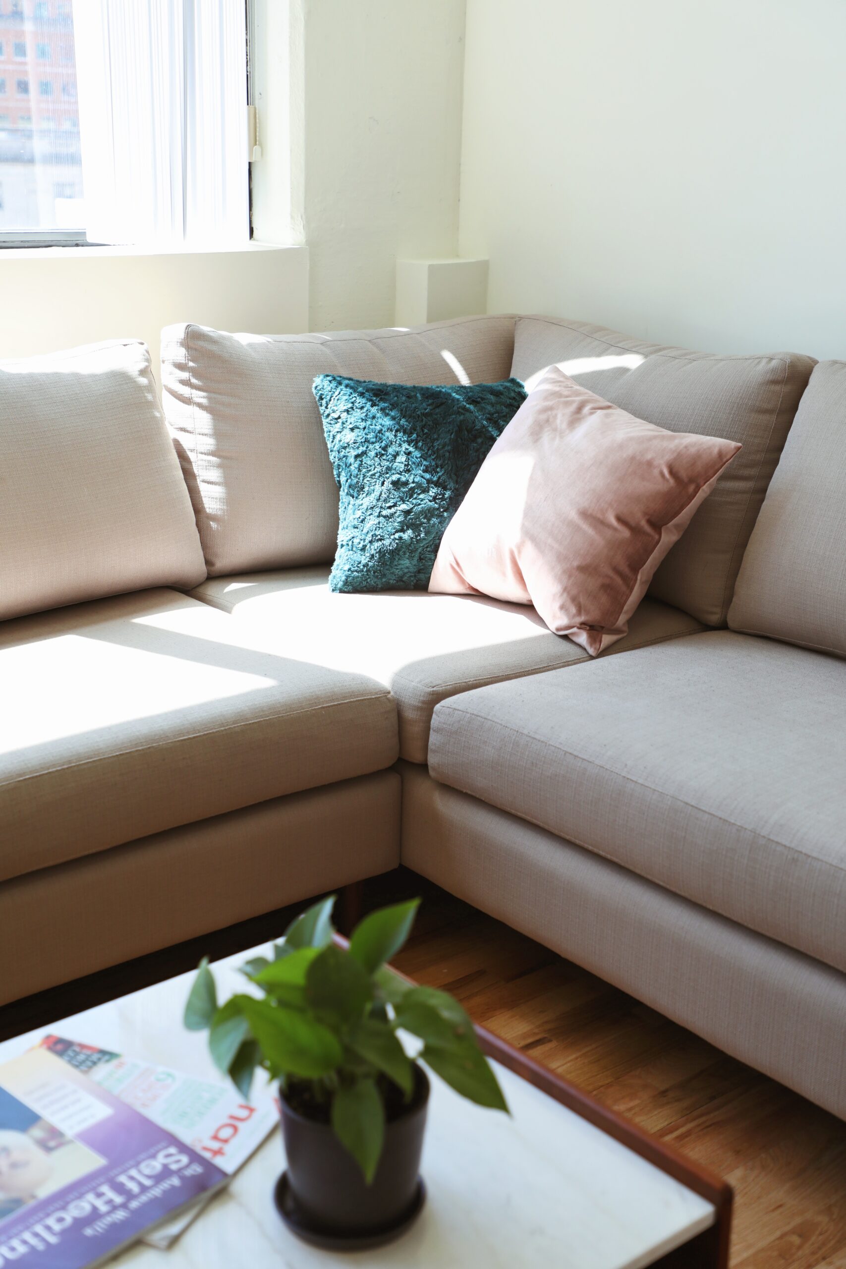 My Search for a Non-Toxic Couch - Organic Olivia » Organic Olivia