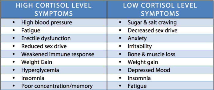 The Truth About Adrenal Fatigue: Root Causes Explained - Organic Olivia ...