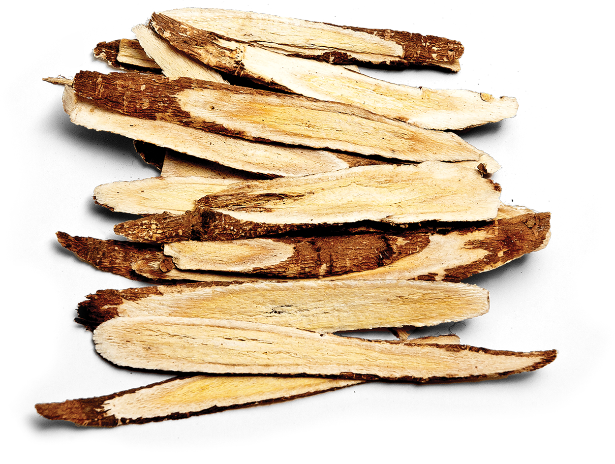 Top Medicinal Foods for Lung Health (for wildfires, pollution and poor ...