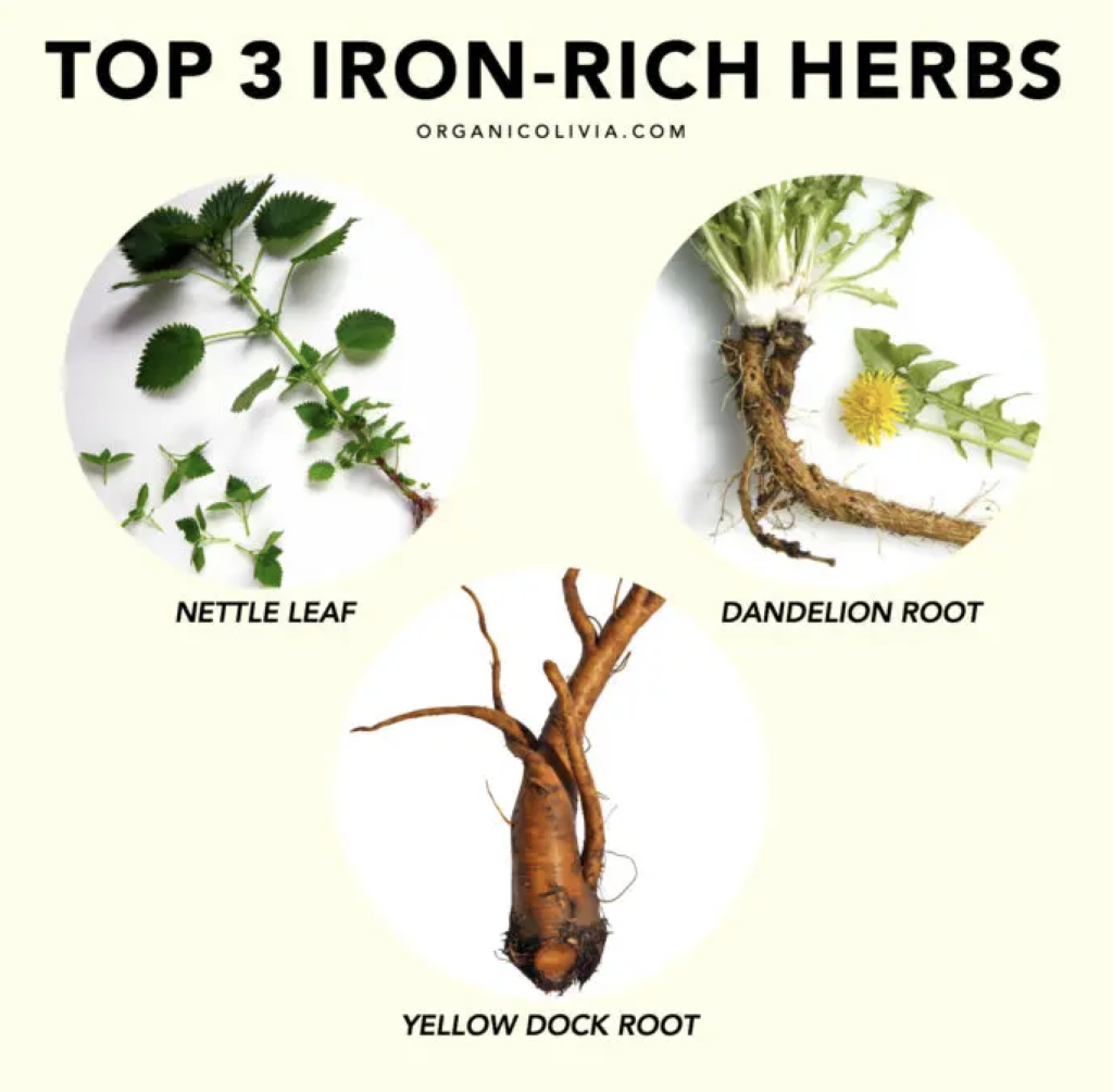 Top 3 Iron-Rich Herbs (great for hair loss & fatigue) - Organic Olivia ...