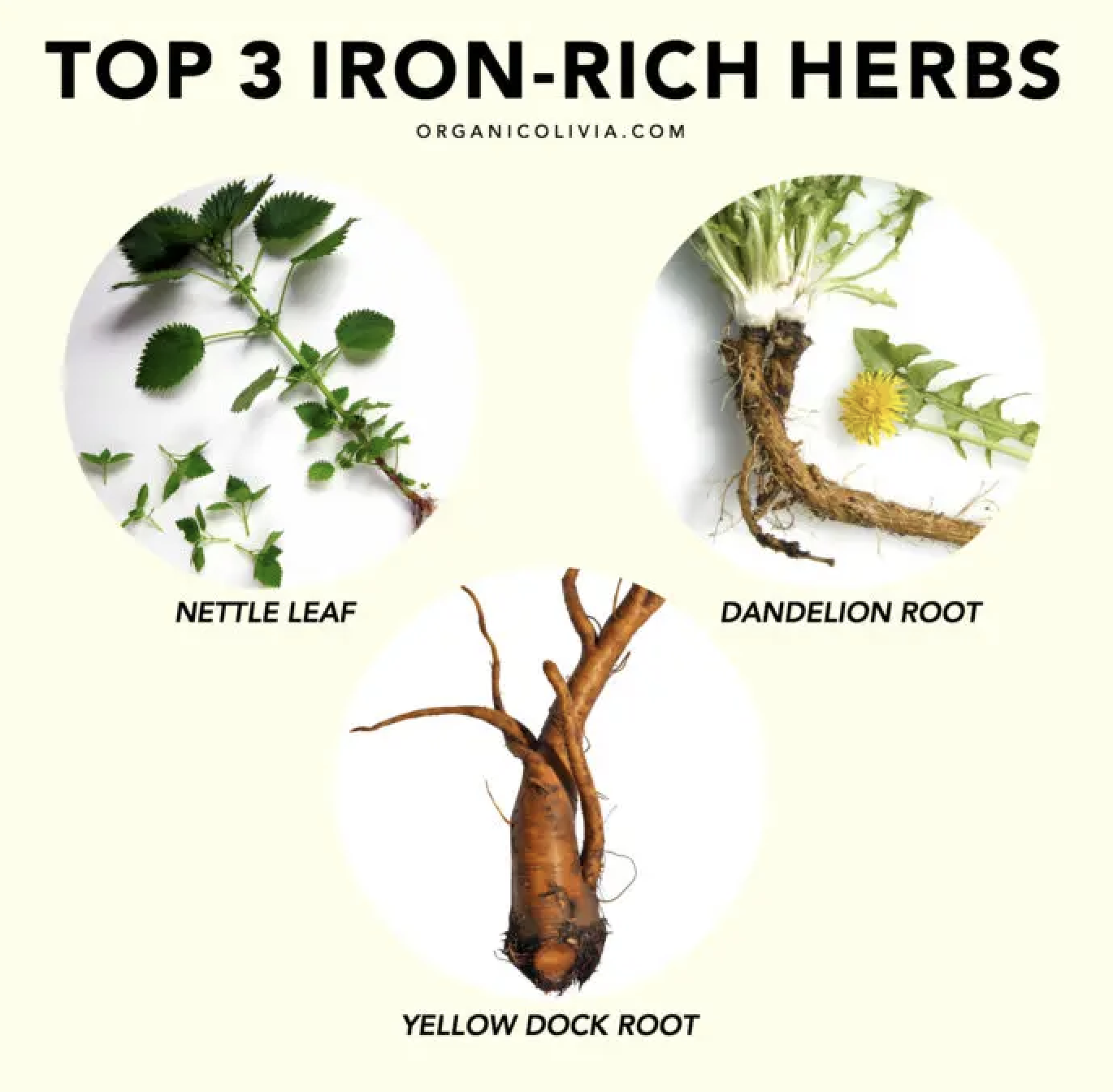 Top 3 Iron-Rich Herbs (great for hair loss & fatigue) - Organic Olivia ...