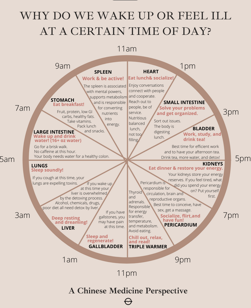 TCM Body Clock: Why Do We Wake Up or Feel Ill at a Certain Time of Day ...