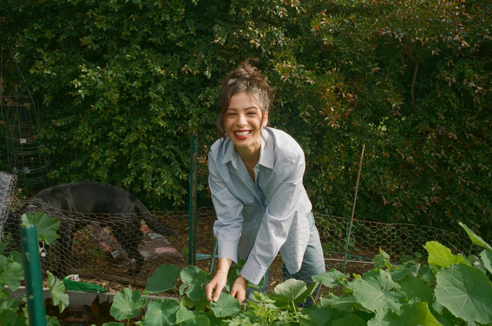 Wellness Q&A With Olivia - Organic Olivia » Organic Olivia