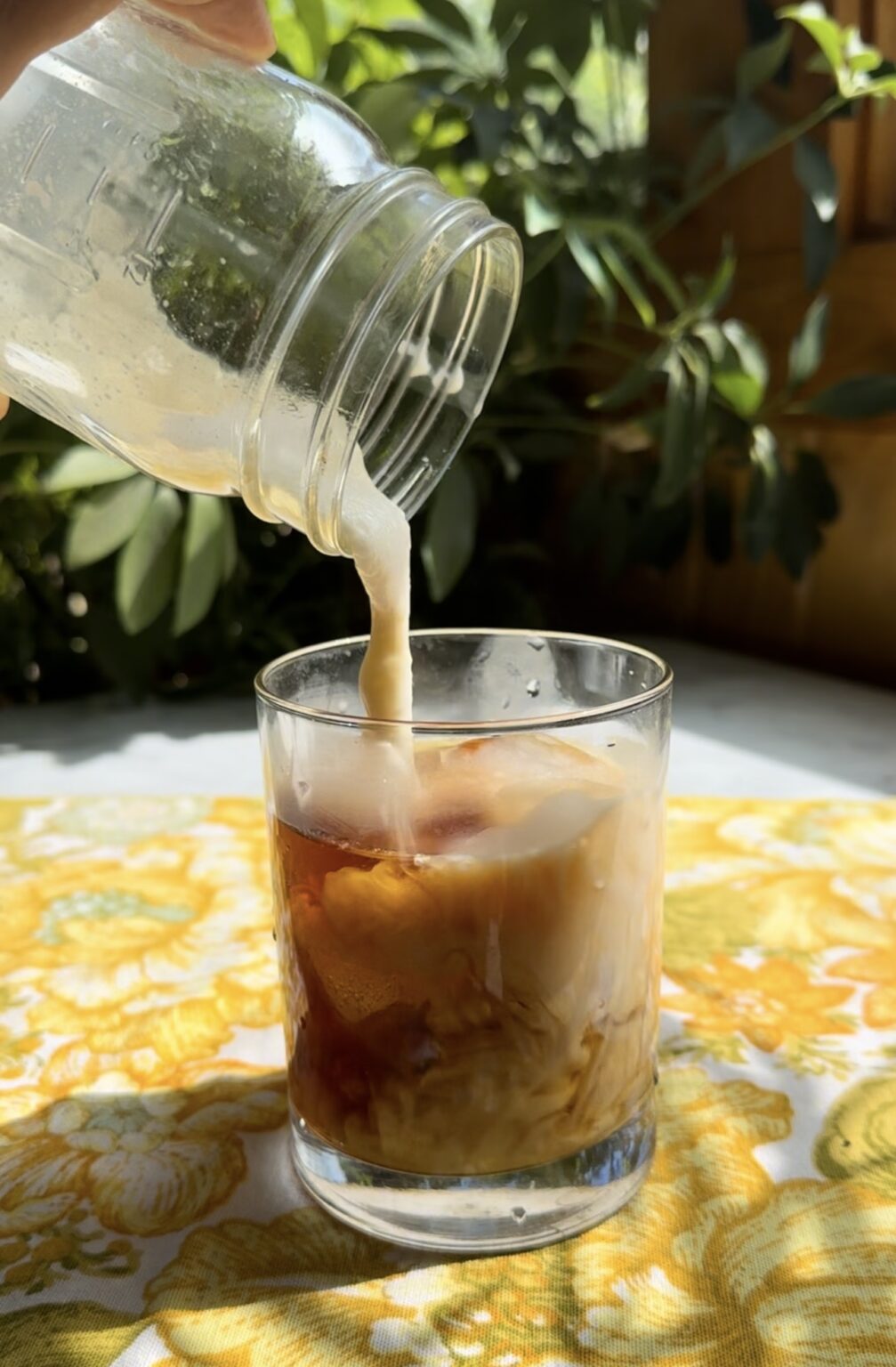 Easy Chicory Latte Recipe - Organic Olivia » Organic Olivia