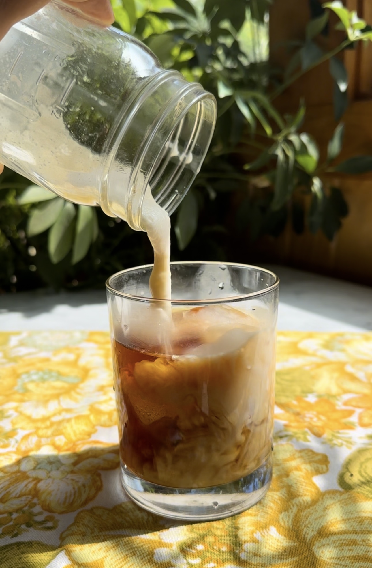Easy Chicory Latte Recipe - Organic Olivia » Organic Olivia
